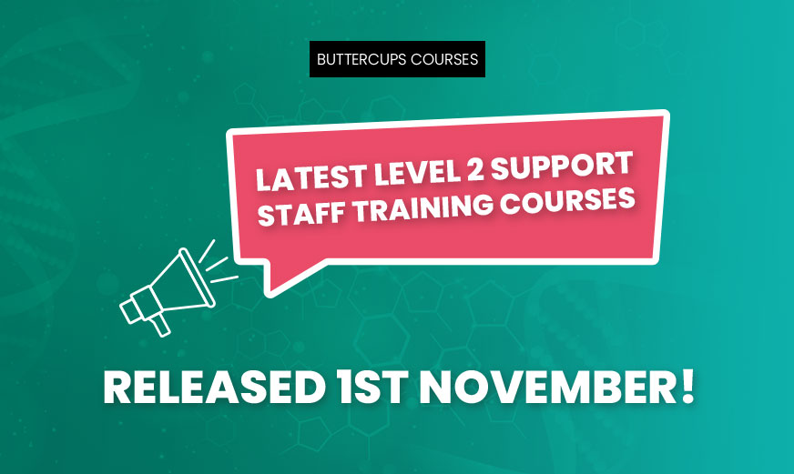 New Level 2 Support Staff Training Courses! | Buttercups Training