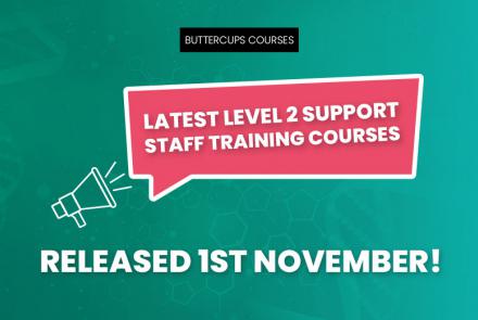New Level 2 Support Staff Training Courses! | Buttercups Training